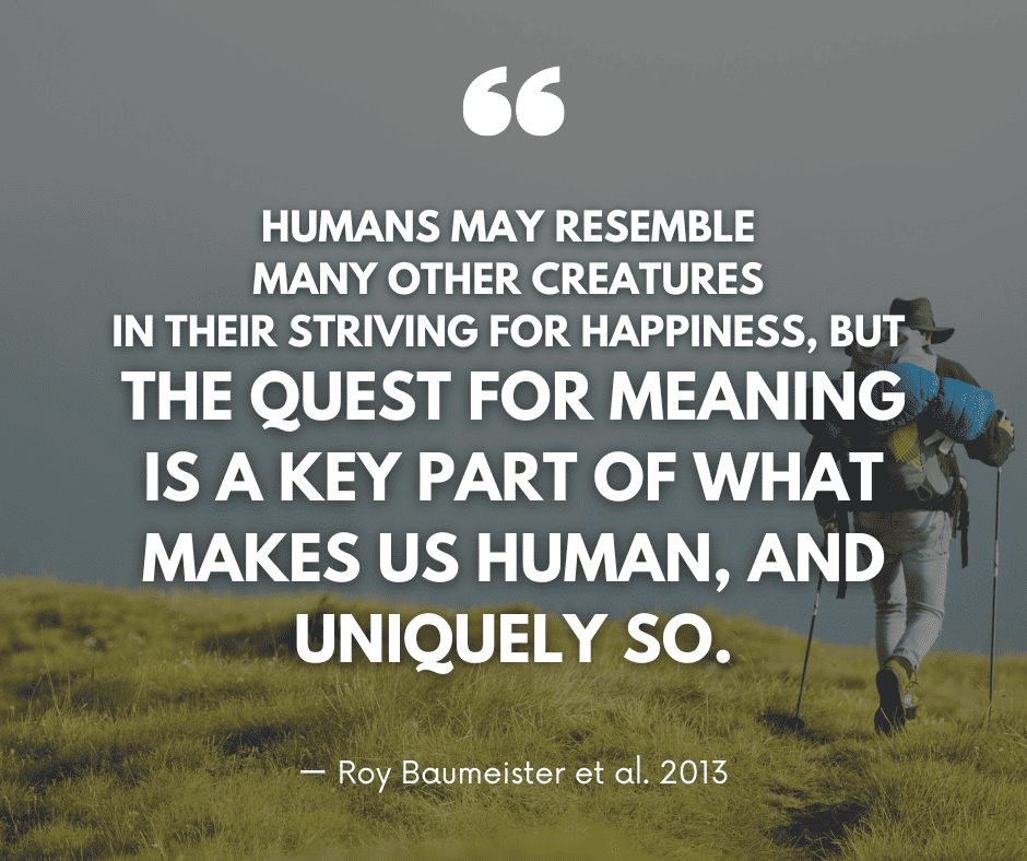 Human Wellbeing, Happiness And Our Search For Meaning – TOKYO MENTAL HEALTH